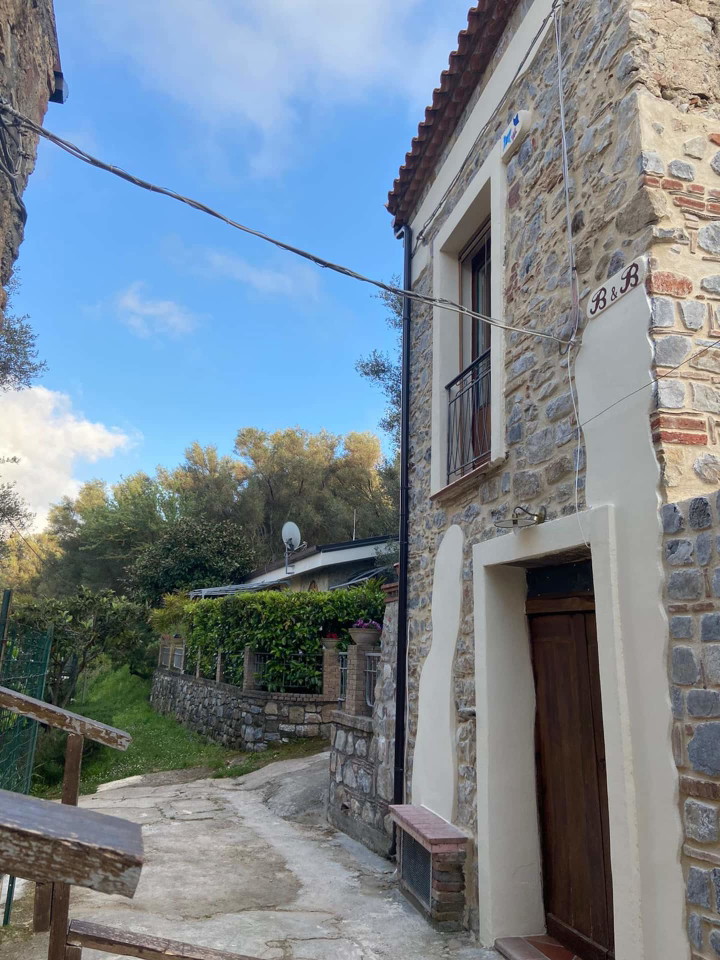 Il Vecchio Gelso - B&b - Palinuro