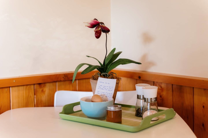 A Lovely Spot- Your Hub For Relaxation Or Action - Rotorua