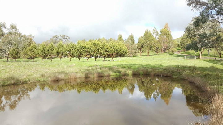 Creekfarm - Mansfield