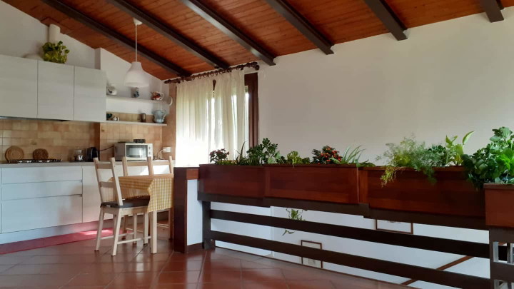 Casa Silver E Toni Nice Apartment In Padua - Padova