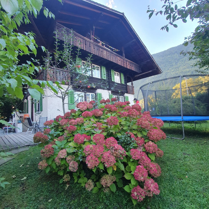 Zentralgelegene Wohnung Mit Grossem Garten - Interlaken