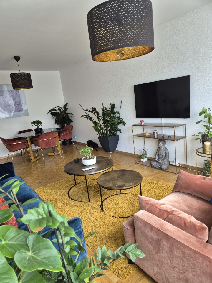 Appartement Centre De Genève - Genève