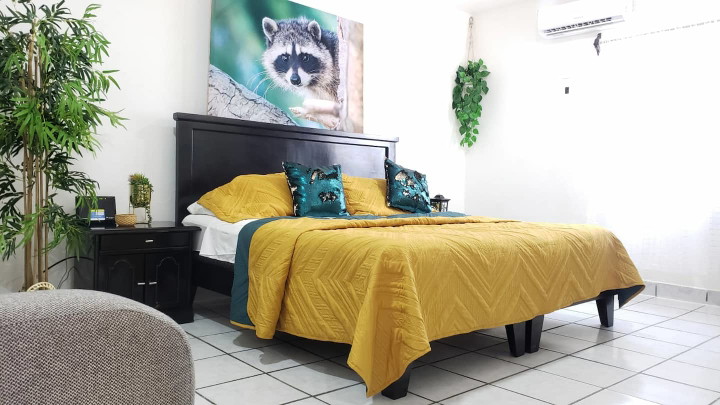 Cozumel Villa Mapache - Cozumel