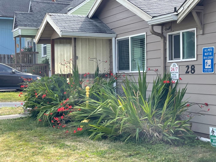 Nye Beach Cottage F - Newport, OR