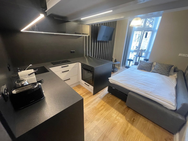 3e Studio With Sleeping Upstairs - Prague