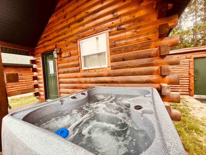 Elm Cabin - Thompsonville, MI
