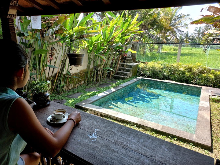 Wooden House With Private Pool - Indonesia