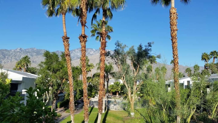 The Palms - Tranquility In Central Palm Springs - Palm Springs, CA