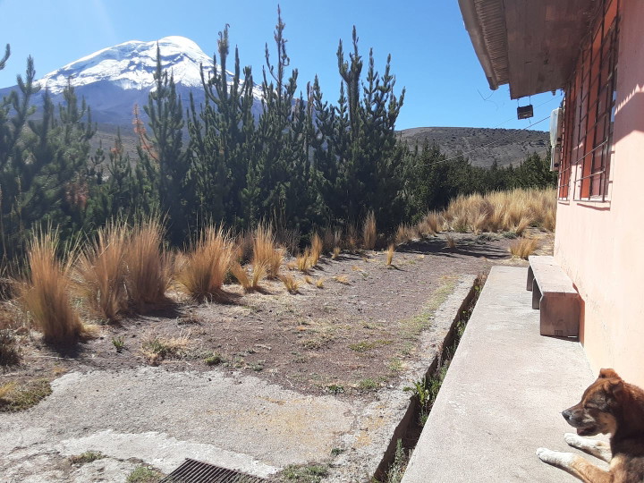 Hospedaje Chimborazo
Alojamiento Entero - Chimborazo