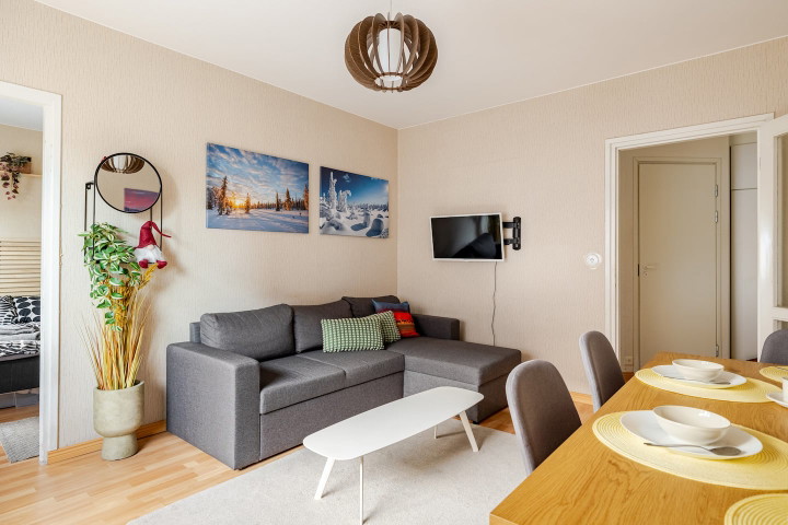 Beautiful Heart Of The City Apartment - Rovaniemi