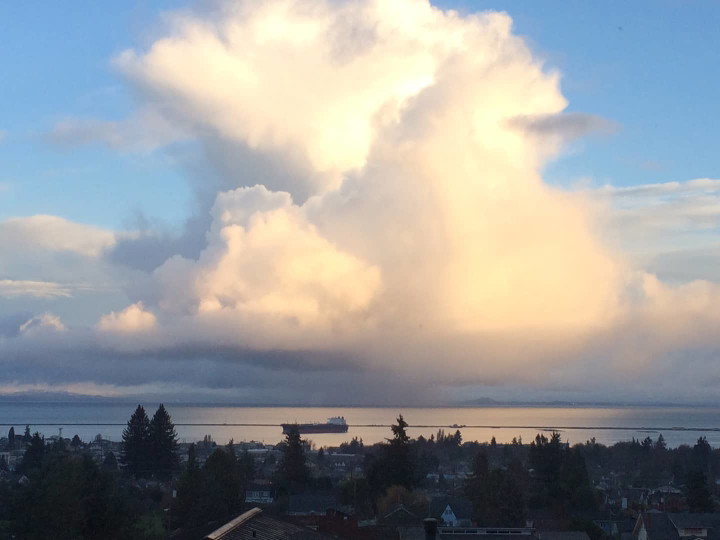 @Theparkinn - Redwood Studio Apt - Port Angeles, Washington