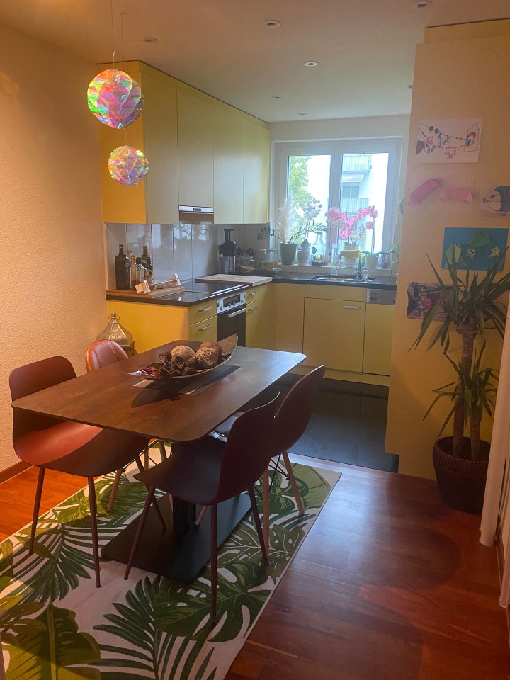 Central Apartment In Zürich - Zürich