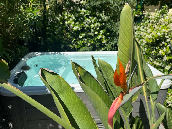 New Florence Amazing Private Pool And Garden Wi-fi - Florence