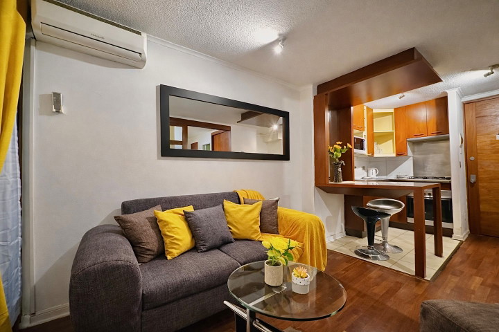 Apartment In Bellas Artes - Santiago (Chile)