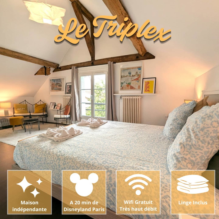 Le Triplex · Jardin · 14 Min Disney · Proche Paris - Chelles