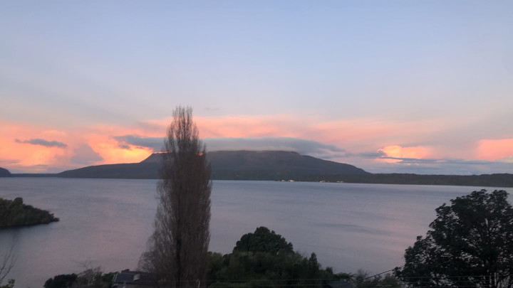 Whare Rakau - The Tree House - Rotorua