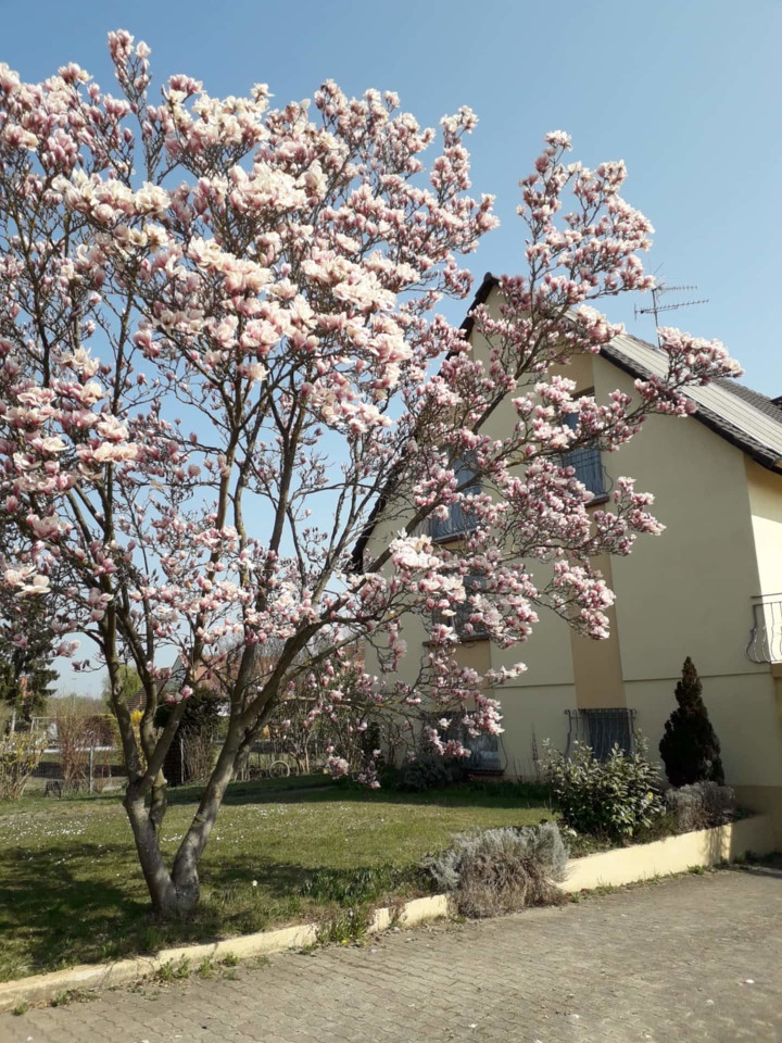 Grande Maison Pour 8 Personnes Porte Du Ried - Colmar