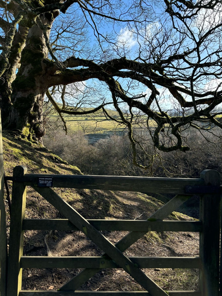 Beautiful Space, Peak District - Castleton