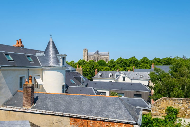 Le Logis Des Arènes: Appt "Les Lupins" - Le Mans