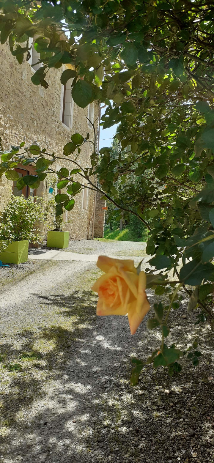 Gîte Des Papillons - Mirepoix