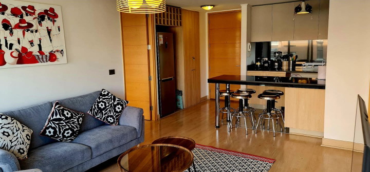 Acogedor, Impecable & Conectado | Vistas - Providencia