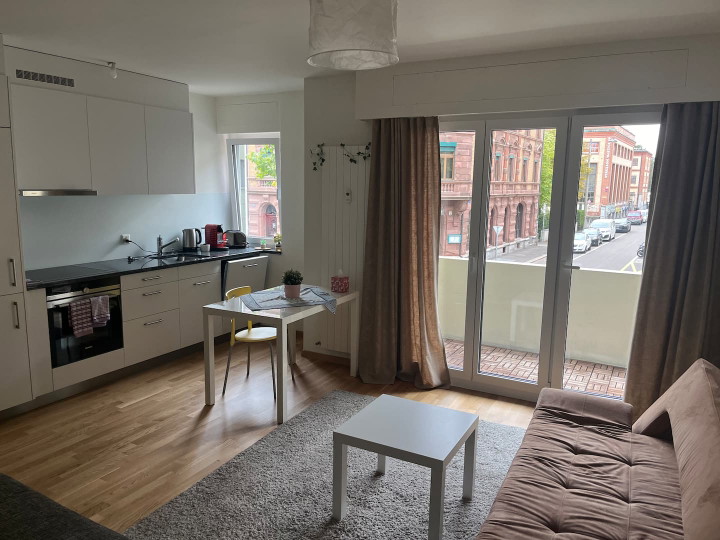 Simple Flat Next To City Centre - Basel