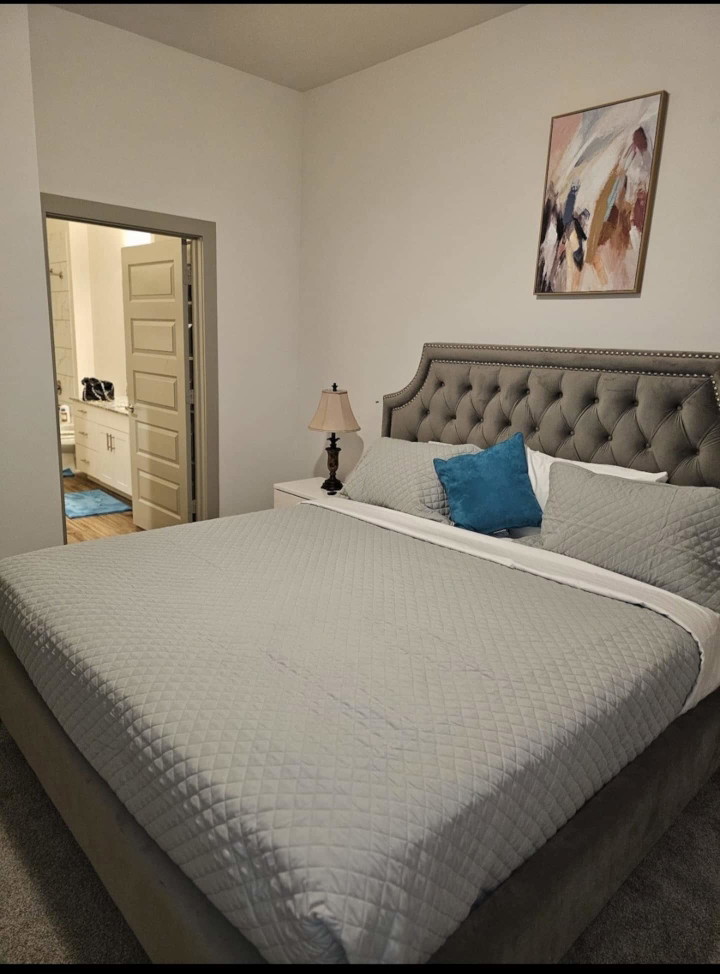 Luxurious And Cozy 1 Bed Apt - Frisco, TX