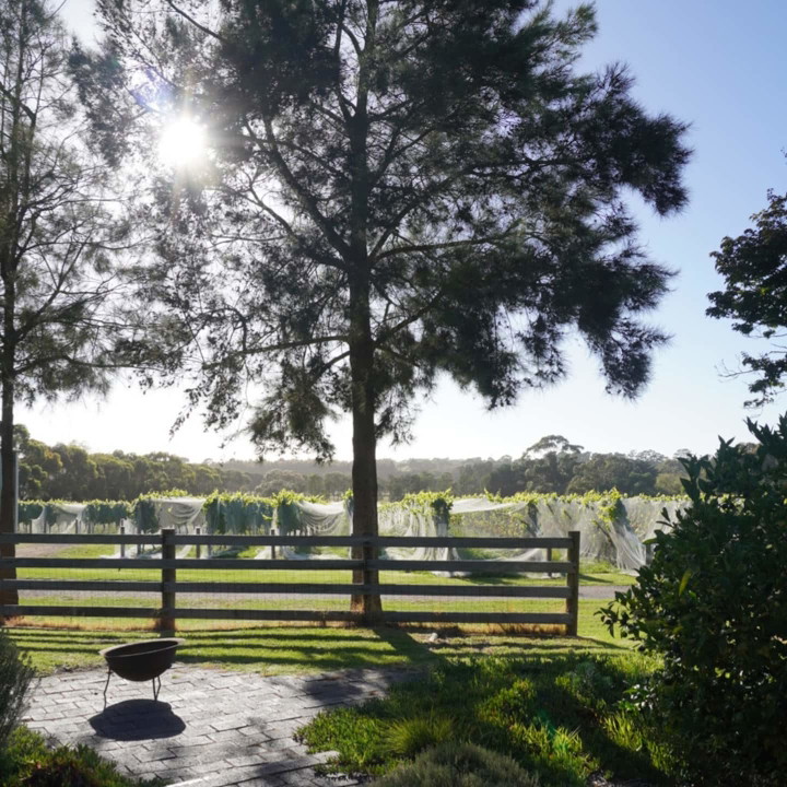 Vineyard Retreat | 4 Br | Minutes To Mornington - Mornington