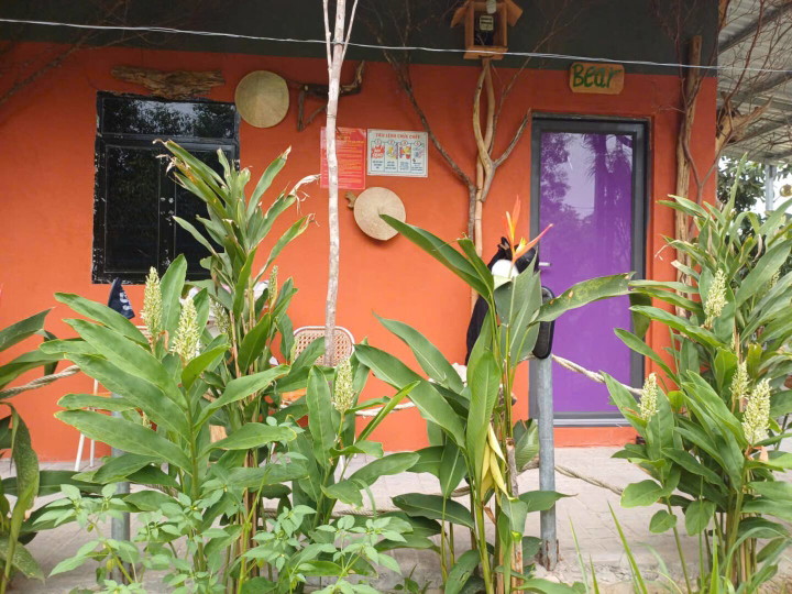 Bear Home | Cozy Rustic Room In Tropical Villa - Phú Quốc