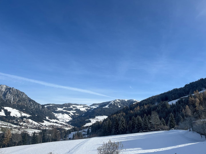 Ferienwohnung Thumerhof - Alpbach
