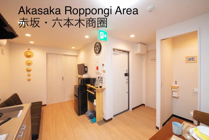 Ruffy House3f(tameikesanno Sta. 3mins) - Roppongi
