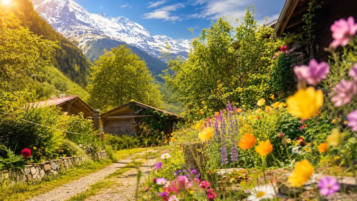 ::: Charming Farmhouse In Nature ::: - Wengen BE