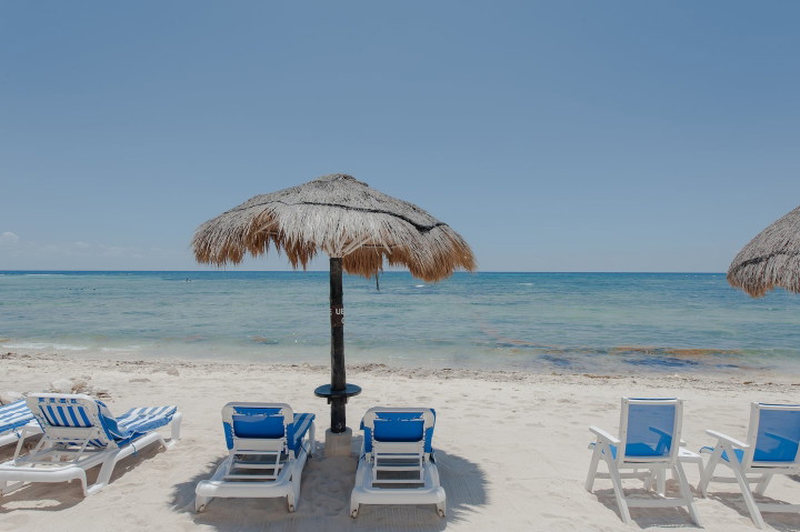 Nesting With Turtles - Akumal