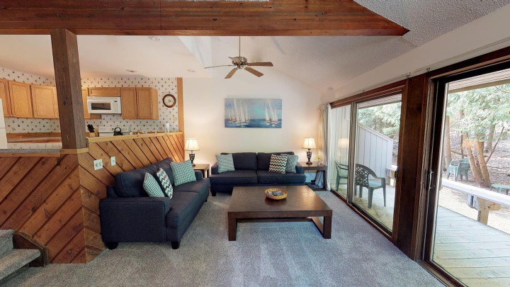 Harbor Cove 108 Ski! Beach! Tunnel Of Trees! - Harbor Springs, MI