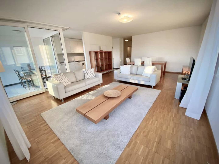 141* Your Bright And Spacious Apartment By The Lak - Lausanne