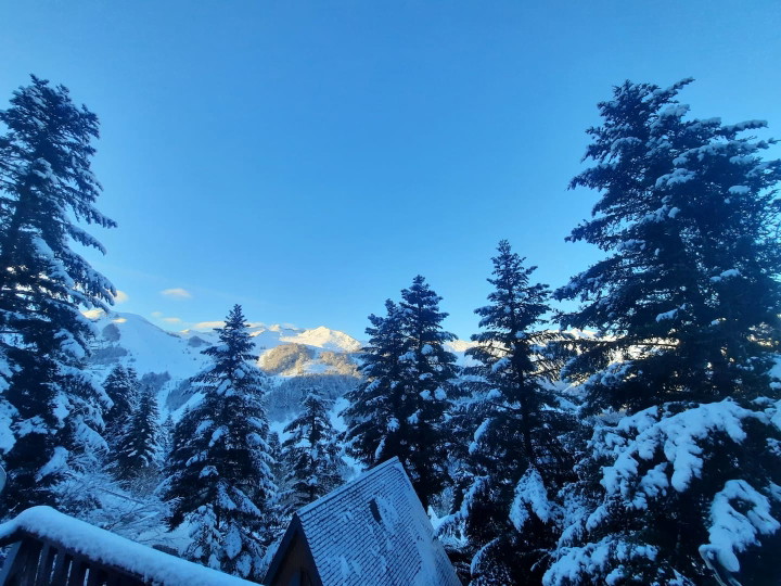Chalet - Guzet-Neige