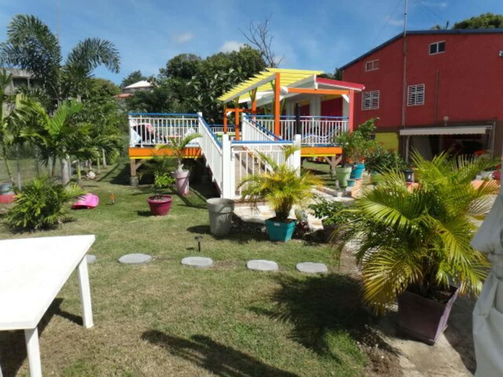 Paradise Of Colors' Suite: Hollywood Rose - Guadalupe