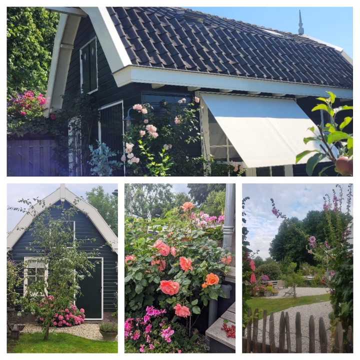 Tiny House In Abcoude, Nearby Amsterdam. - Amsterdam