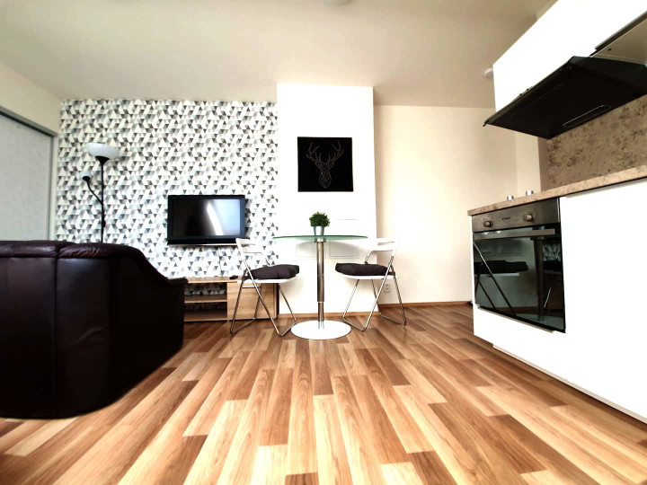 Attic Studio With Air Conditioning And Bathtub 3 - Brno