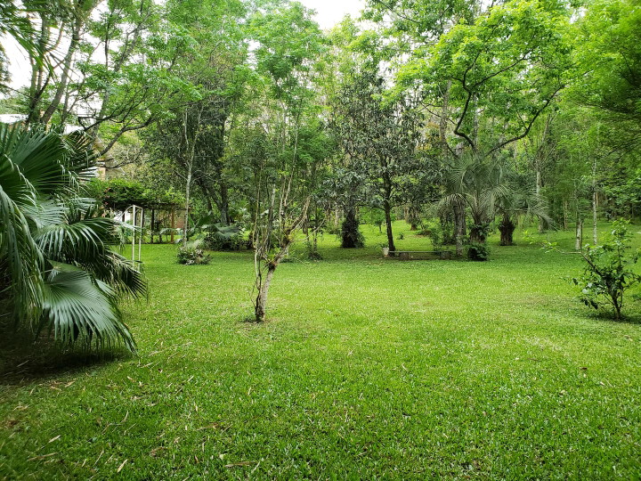 Chácara Guidolin  Em Ijuí, Natureza E Bem-estar. - Ijuí