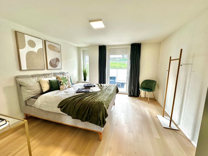 Sea-view Apartment In Wollishofen - Zurique