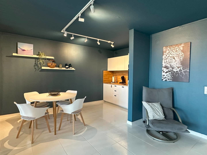 Münsterblick Vacation Rental - Kehl