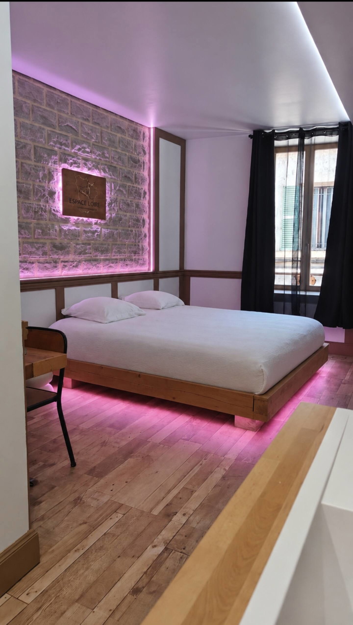 Studio Espace Loire  King Size  Clim  Ambiance - Nevers