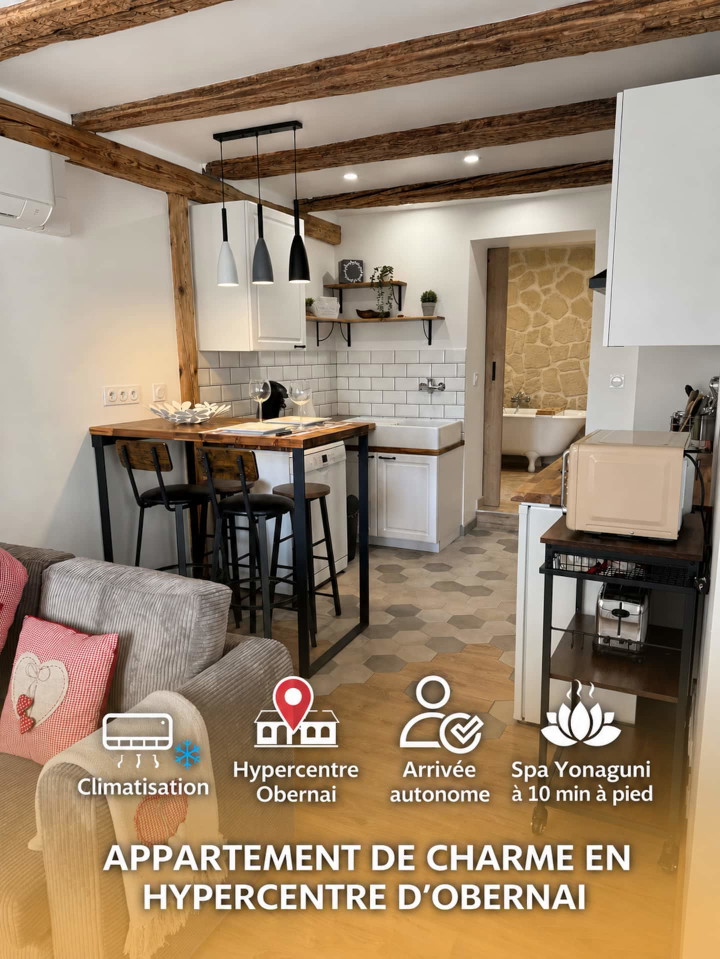 L'appartement Du Beffroi - Obernai