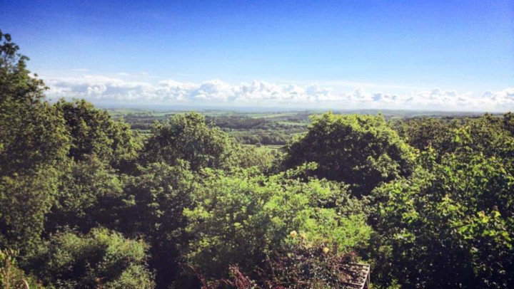Coach House-gateway To Dartmoor 'An Absolute Gem!' - Dartmoor Forest