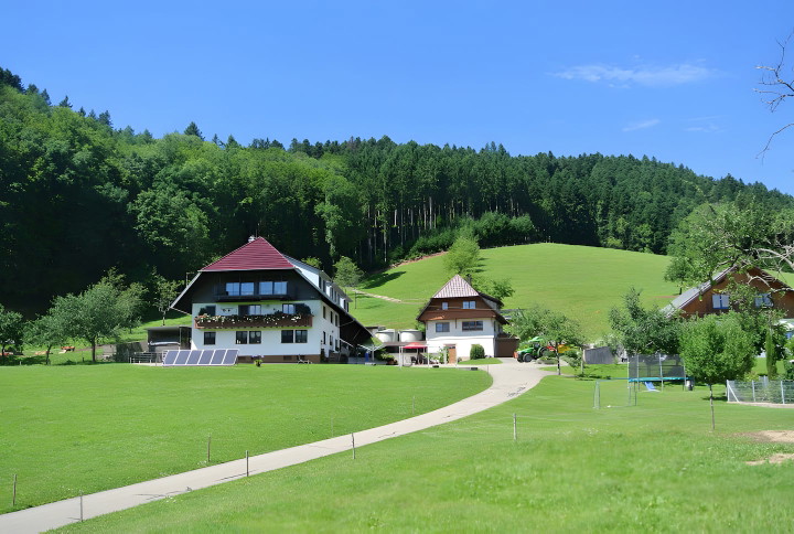 Vordersbergerhof - Black Forest