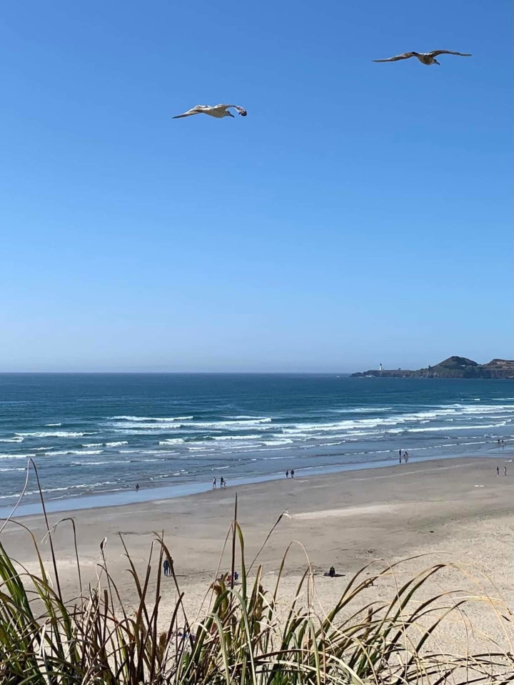 Historic Beach Bungalow In Charming Nye Beach #6 - Newport, OR