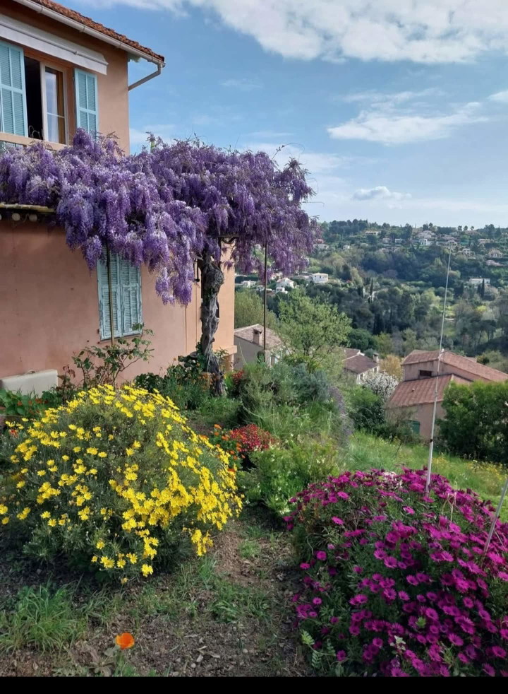 Appartement Vence Entre Mer Et Montagne - Vence