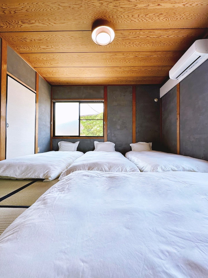 Entire Kominka/tatami+projector/6ppl/ghibli 30 Min - 名古屋市