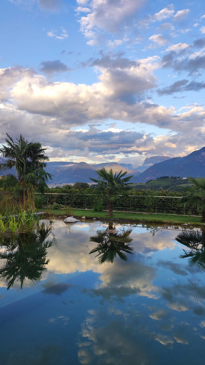 Piscine Naturelle, Sauna Et Design Avec Vue Penegal - Bolzano